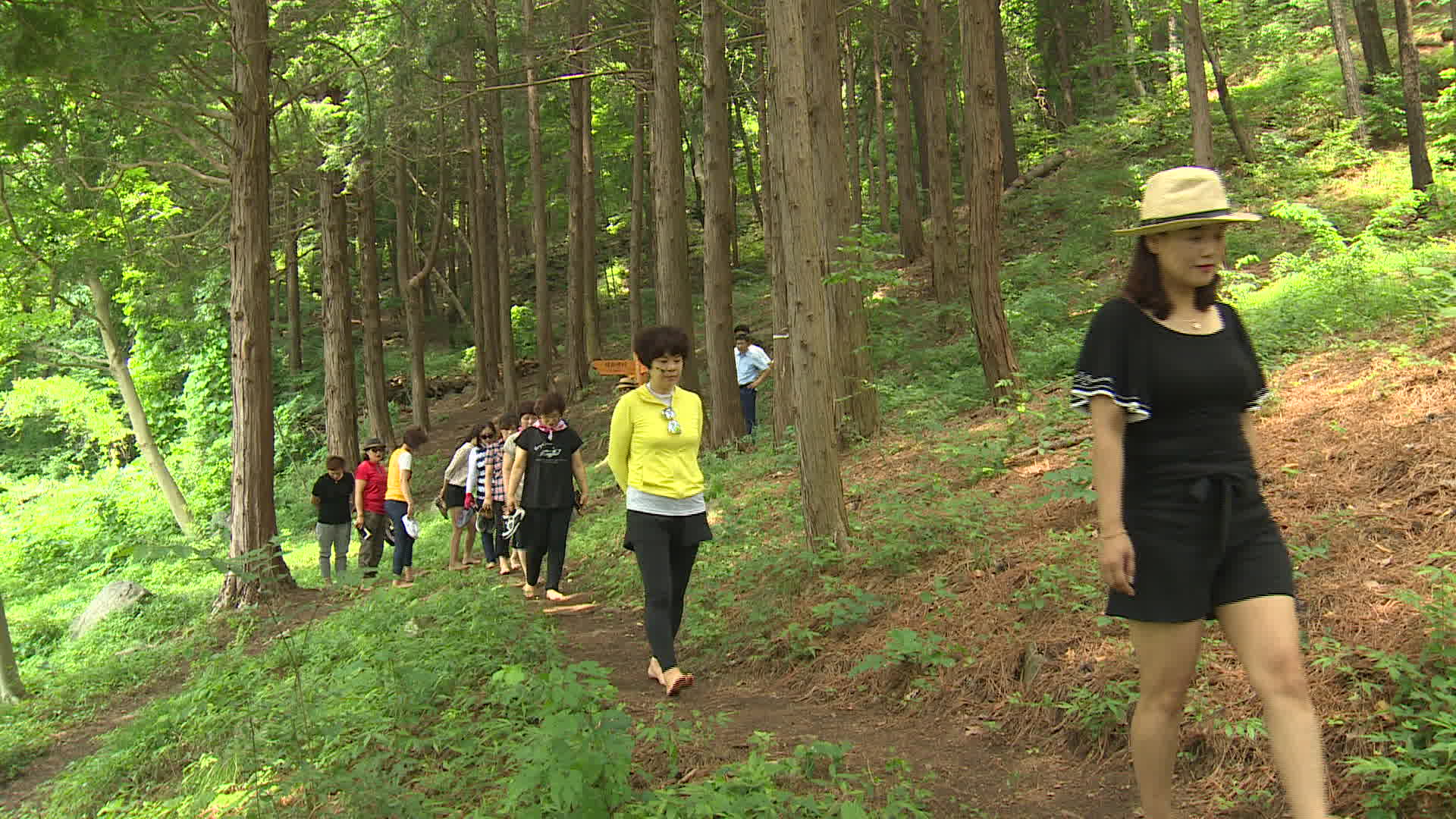 휴식과 치유 전남 산림휴양시설 관광객 몰린다